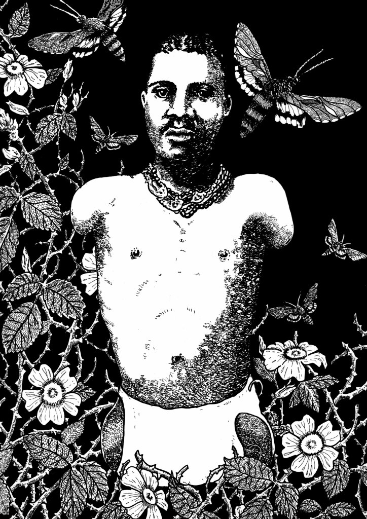 20% Discount – Strange Lands and The Human Chimaera – Folk Horror ...