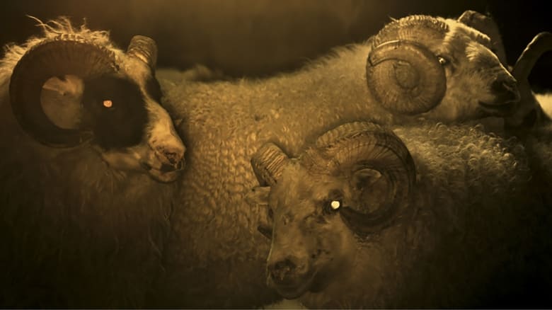 Lamb: Film Review – Folk Horror Revival & Urban Wyrd Project ⨘
